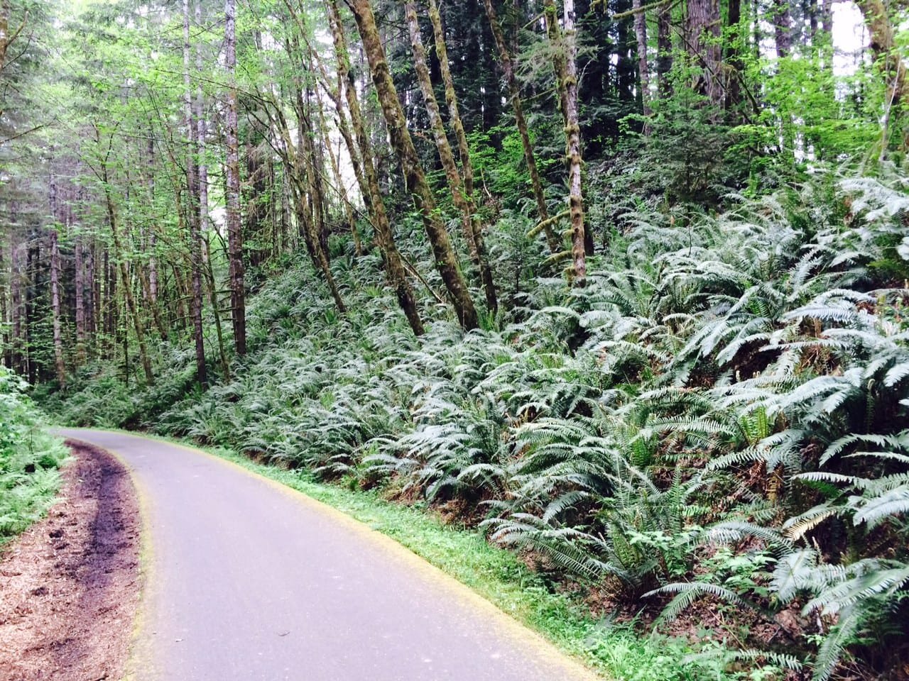 Things To Do in Vernonia, Oregon | Vernonia Springs